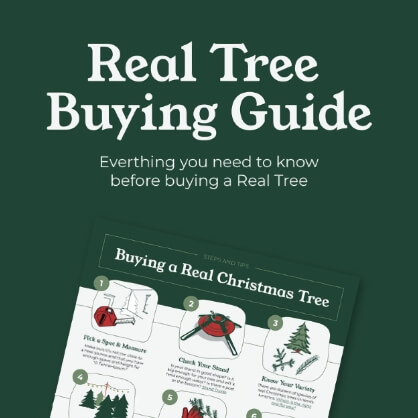 Social Media | The Real Christmas Tree Board
